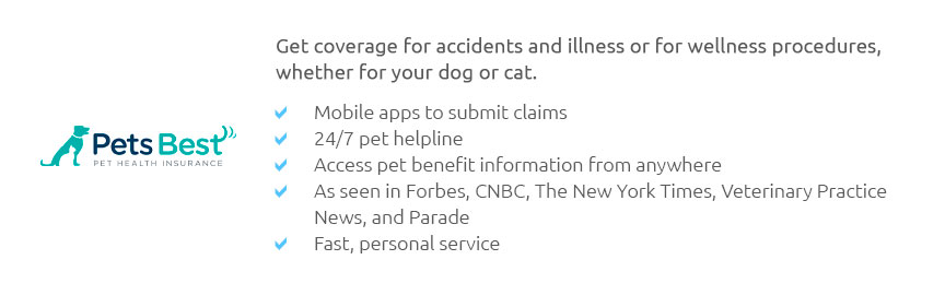 Liability Insurance For Dogs 🐶 Feb 2025